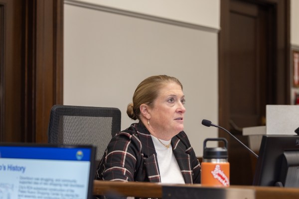 Santa Barbara City Council Takes Stand on Paseo Nuevo Proposal - The ...