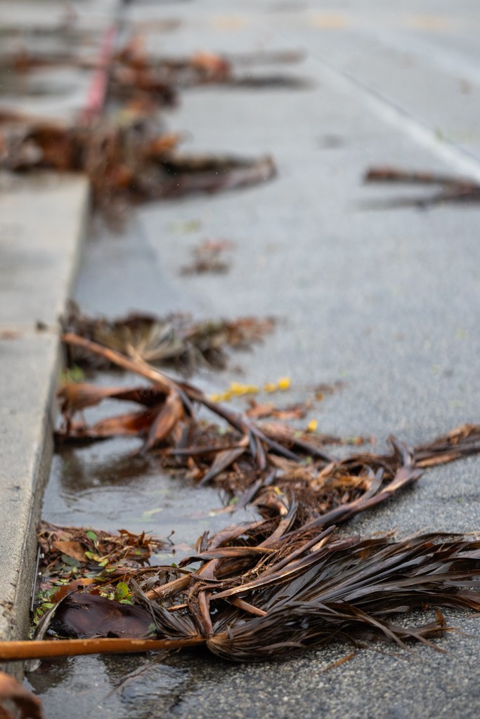 Christmas Eve Storm Passes Santa Barbara Without Major Damage - The ...