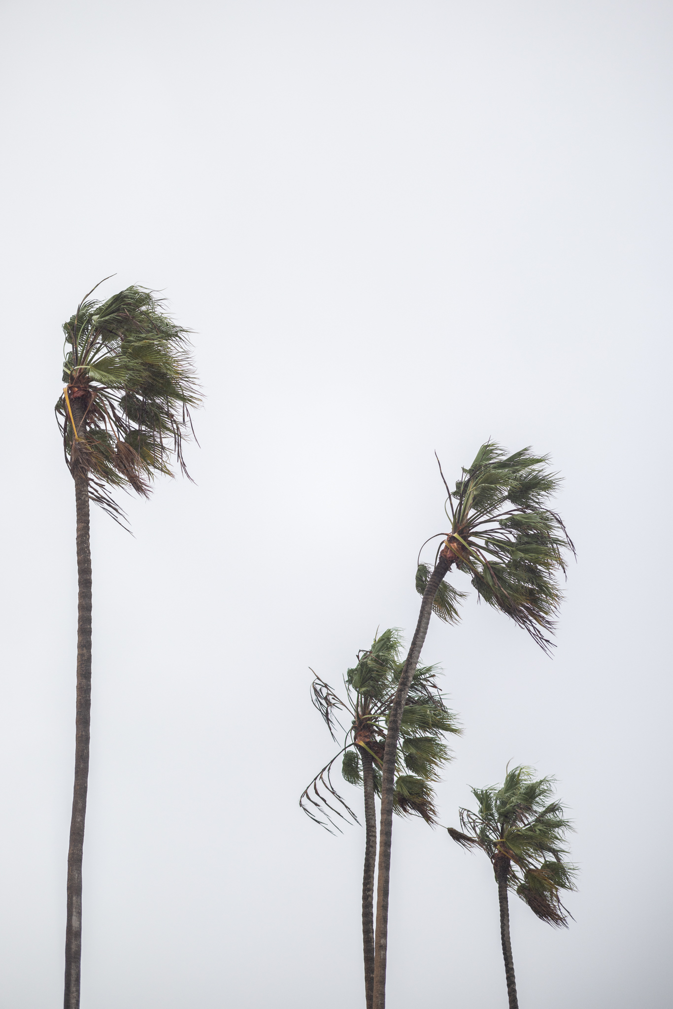 Christmas Eve Storm Passes Santa Barbara Without Major Damage - The ...