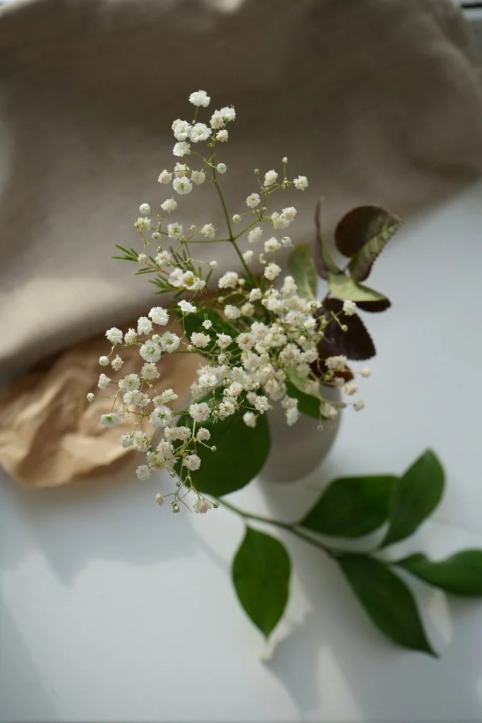 Alma Rosa Winery February First Friday - The Santa Barbara Independent