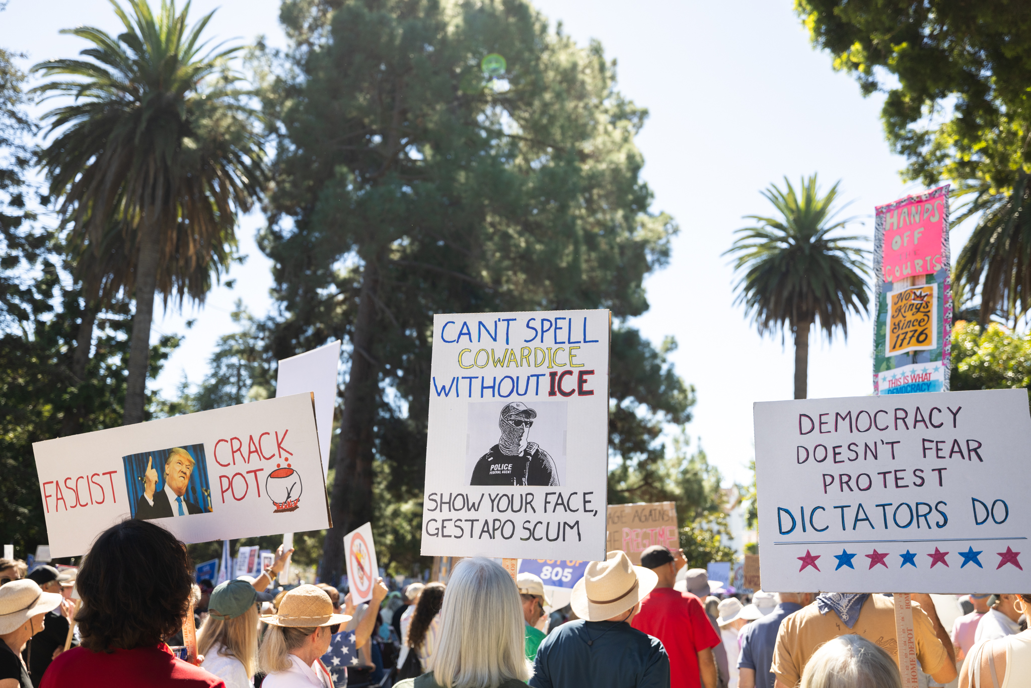 Protest on Saturday Against Venezuela and Minnesota Violence - The ...