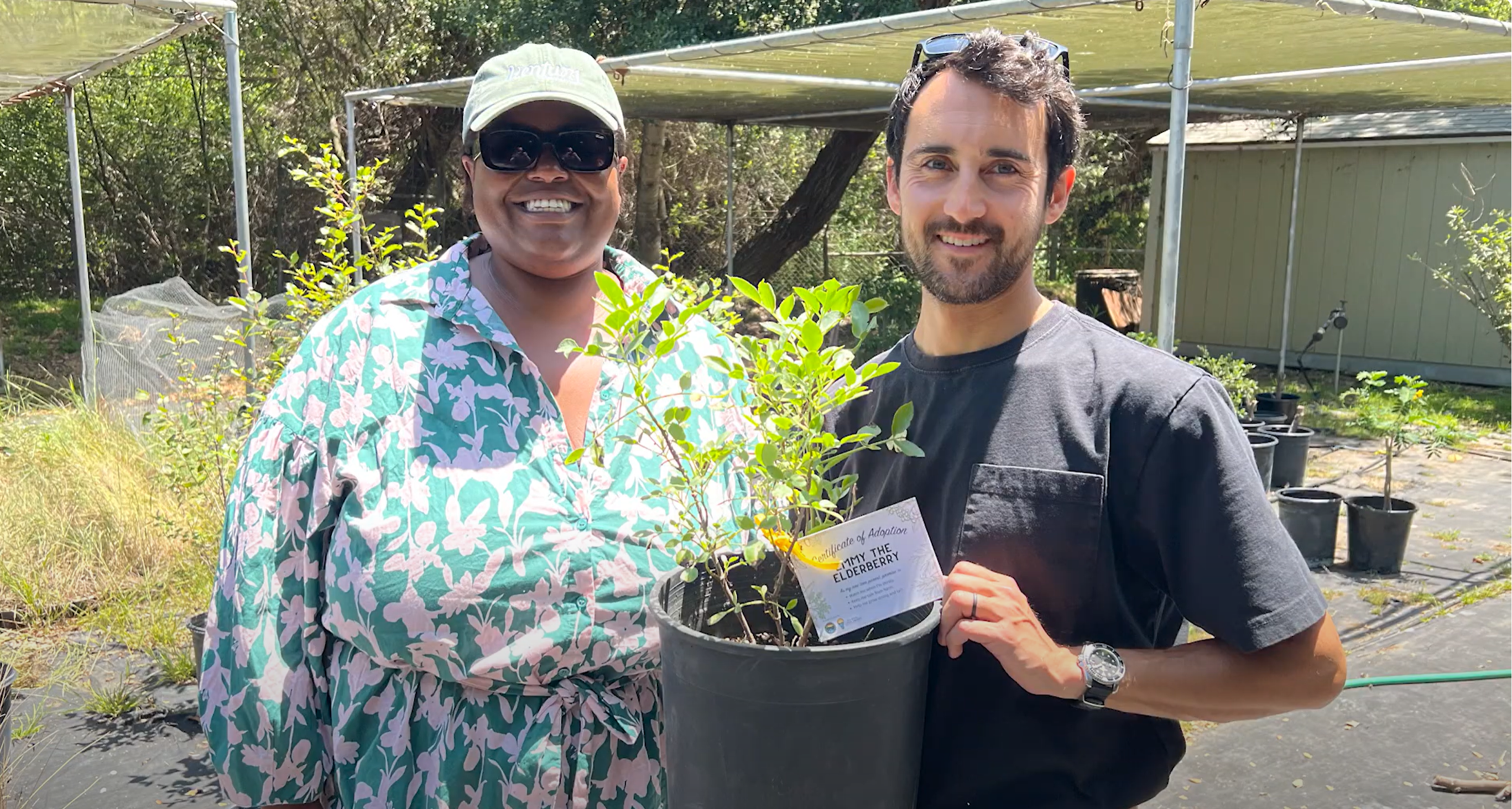 Santa Barbara Clean Energy’s Community Tree Program Returns - The Santa ...