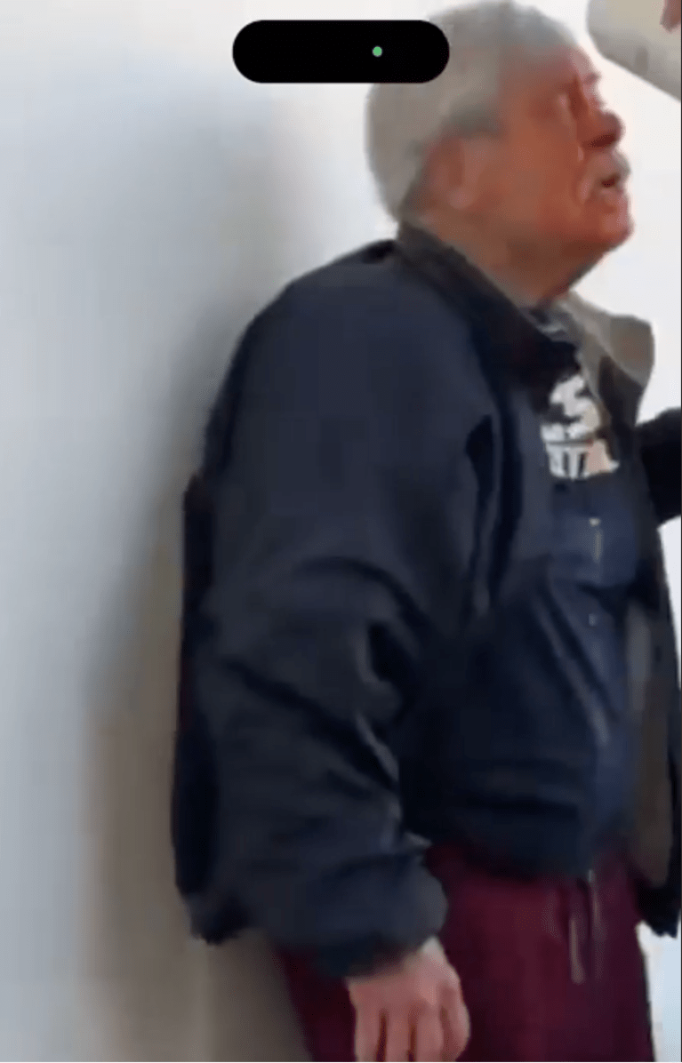 ICE Agents Arrest Observer and Knock Down and Pepper-Spray 80-Year-Old ...