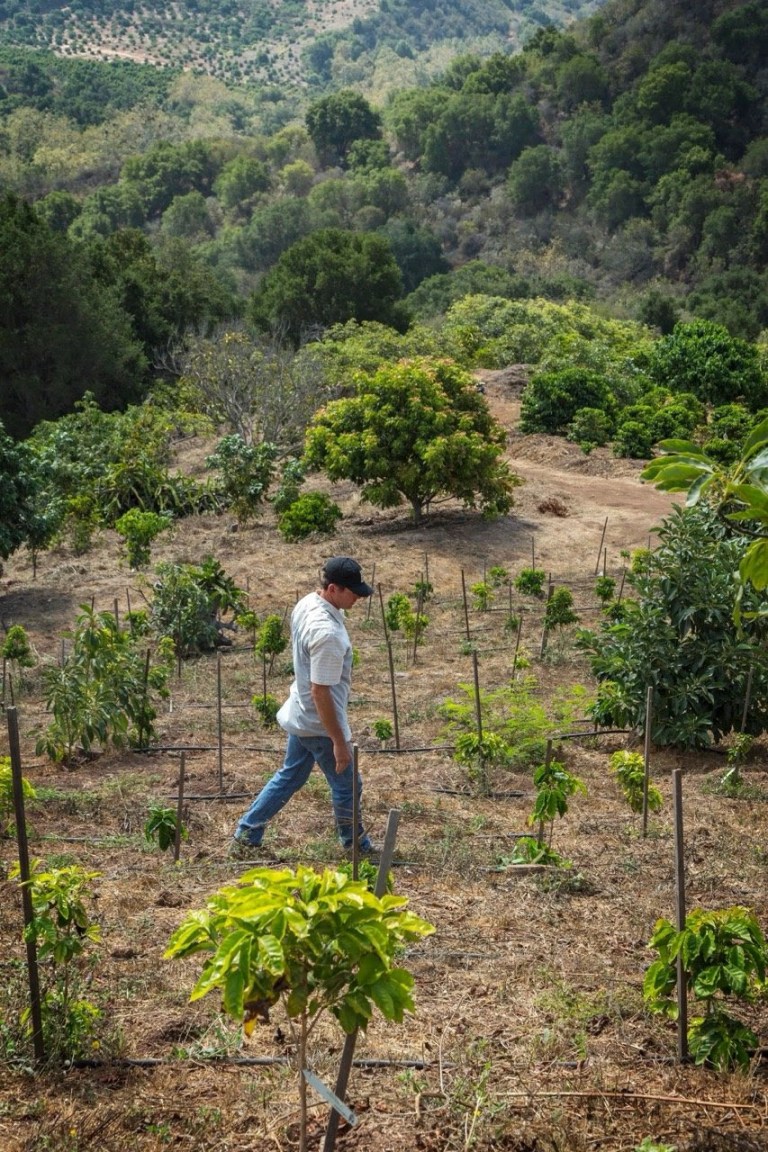 Remembering the Ruskeys, California’s Most Adventurous Farmers - The ...
