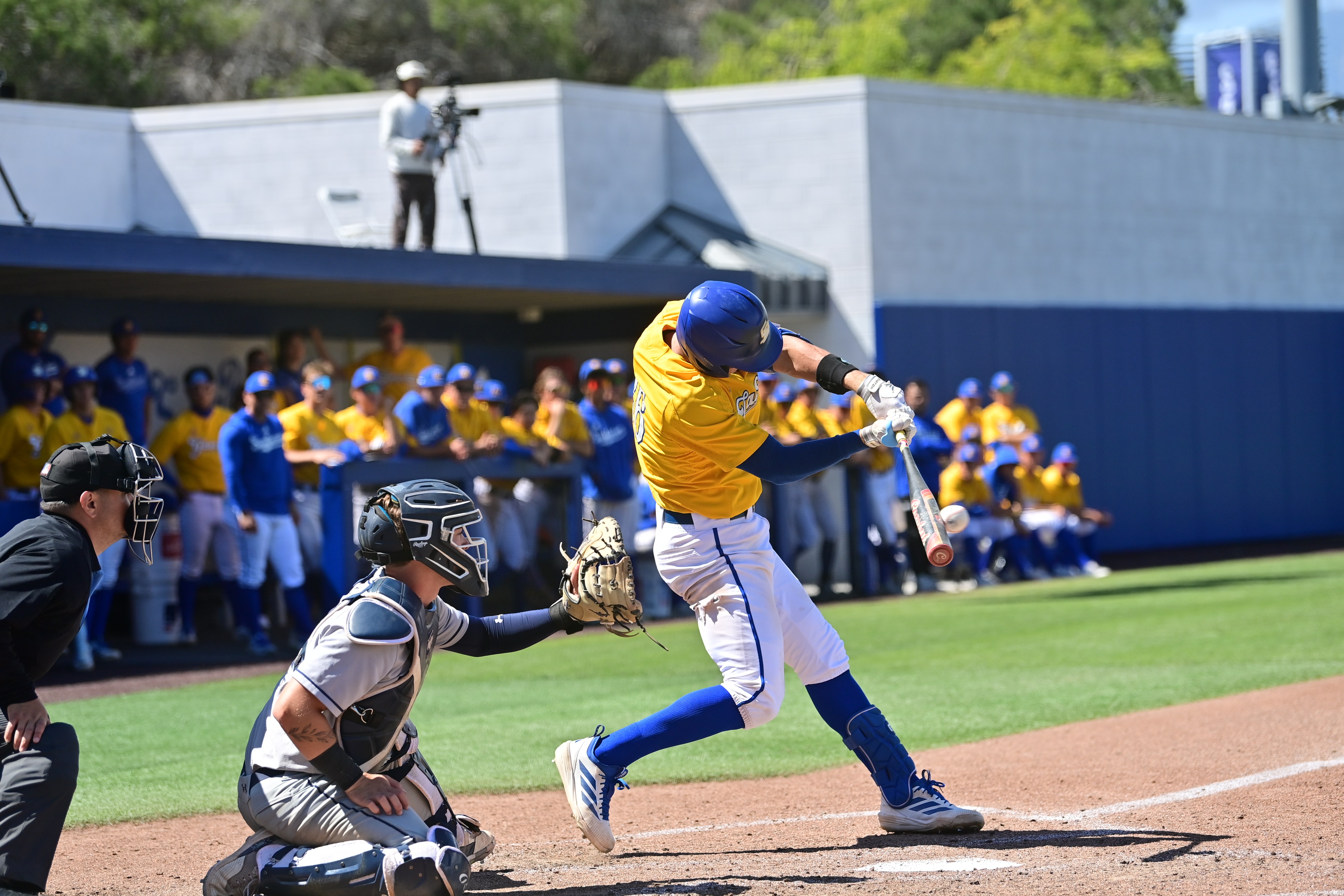 UC Santa Barbara Baseball Tightens Big West Conference Standings with ...