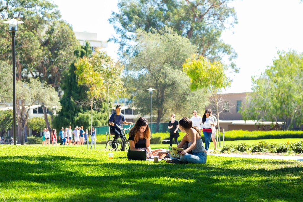 UC Santa Barbara Downsizes Language Programs - The Santa Barbara ...