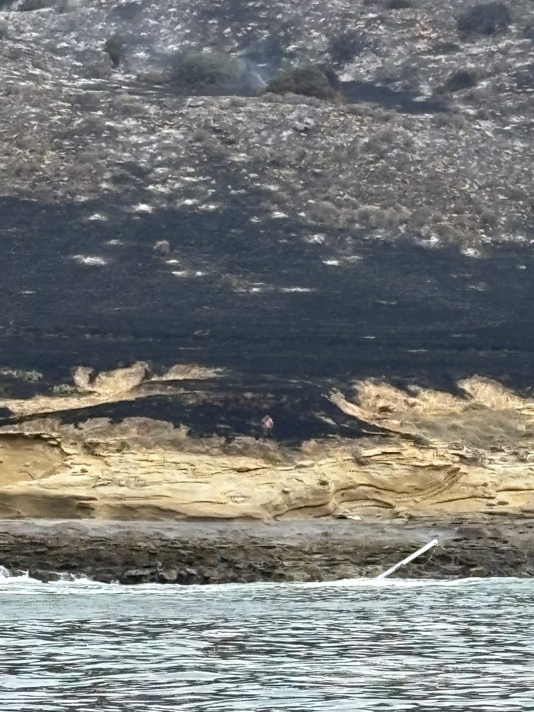 Vegetation Fire Breaks Out on Santa Rosa Island - The Santa Barbara ...