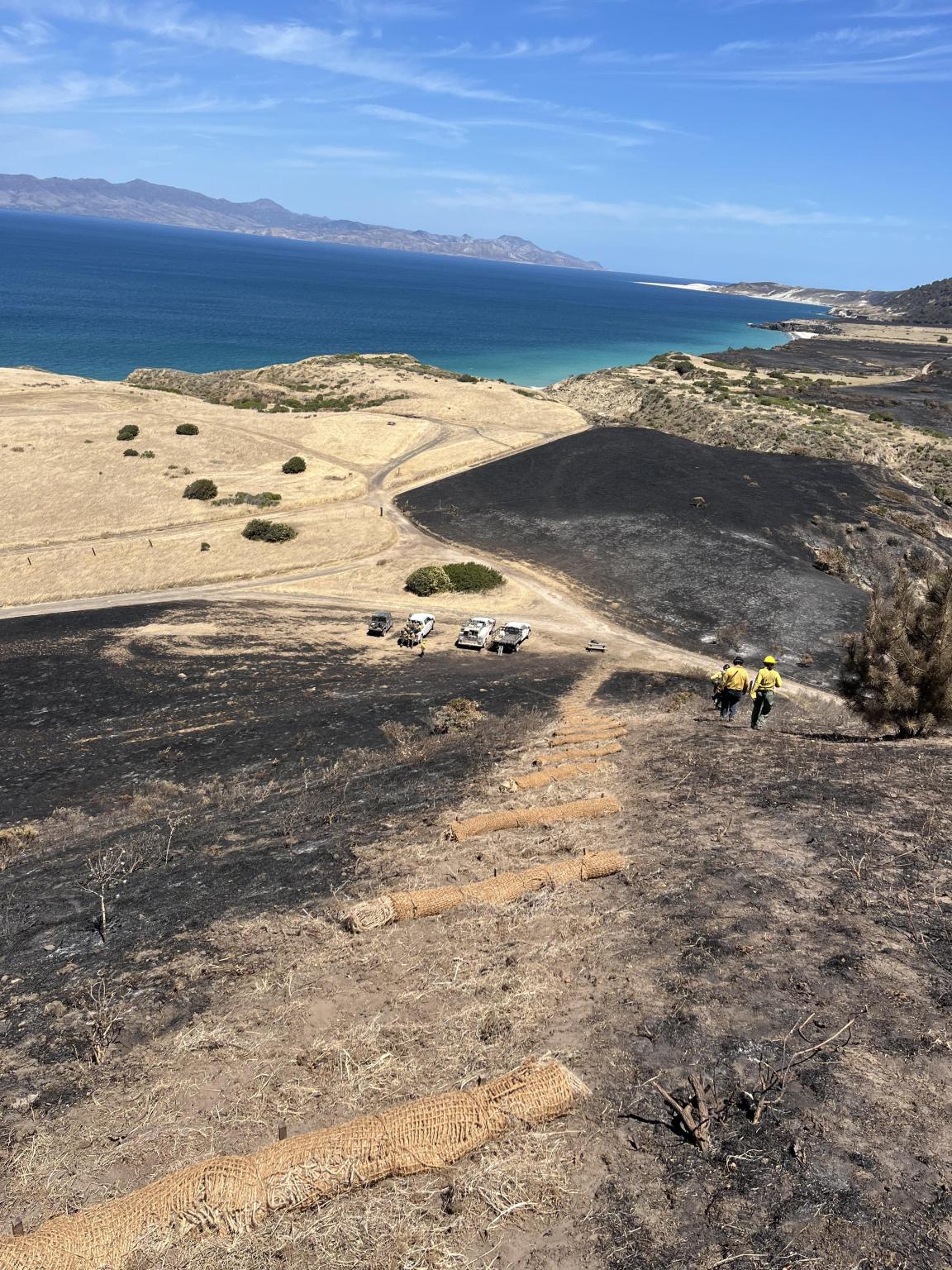 Santa Rosa Island Fire Nears Full Containment - The Santa Barbara ...