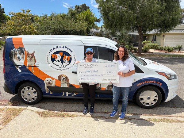 Images by Valerie’s 6th Annual Pooch Playoffs Raises $3,200 for ...