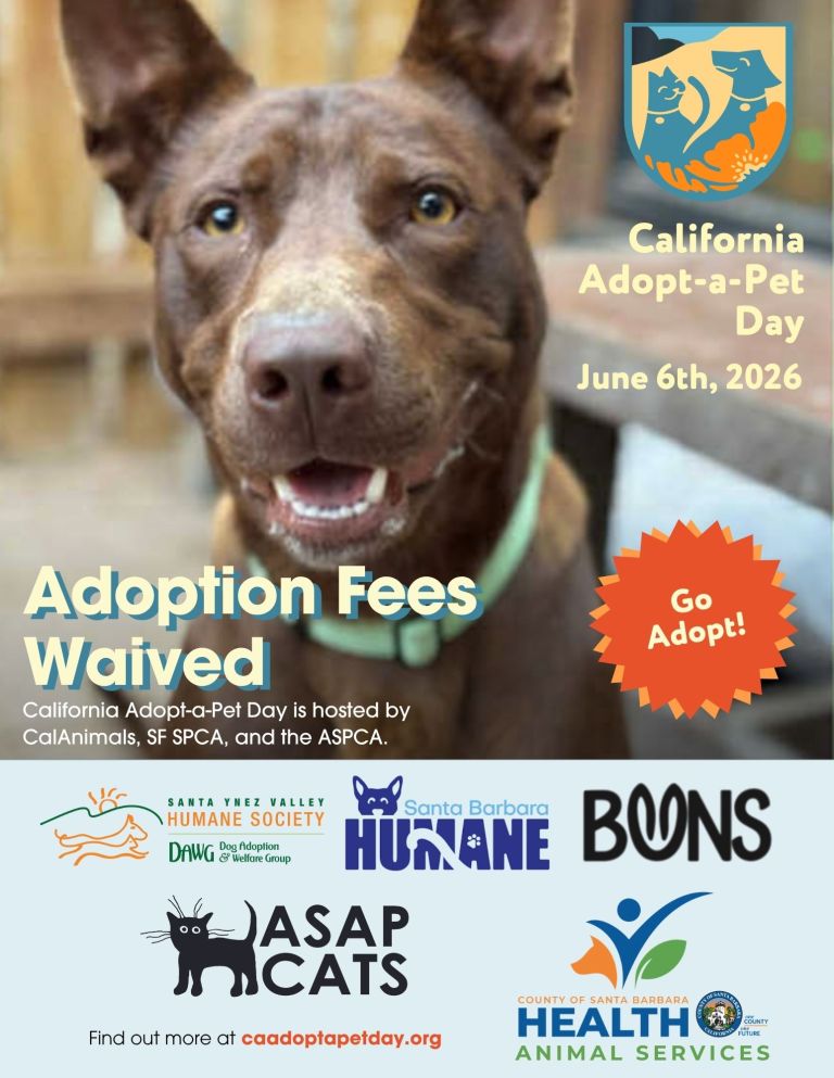 County Animal Services to Offer Fee-Waived Adoptions for California ...