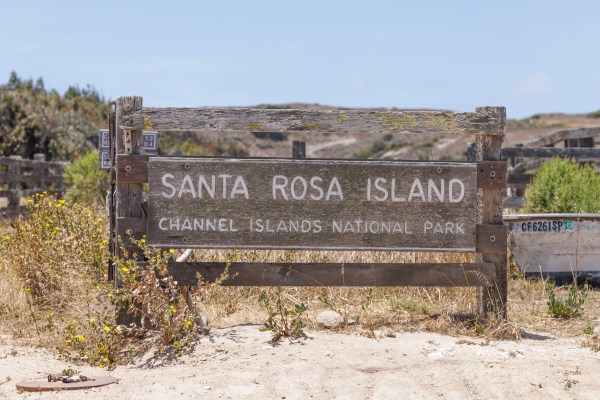 Santa Rosa Island Will Reopen to Public Following Historic Fire - The ...