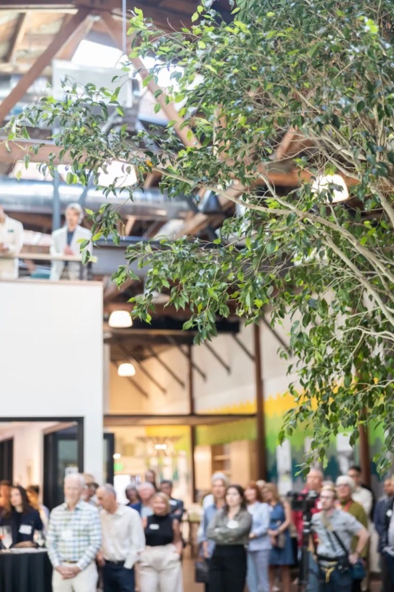 TEDx Event in Santa Barbara Uplifts Climate-Minded Community - The ...