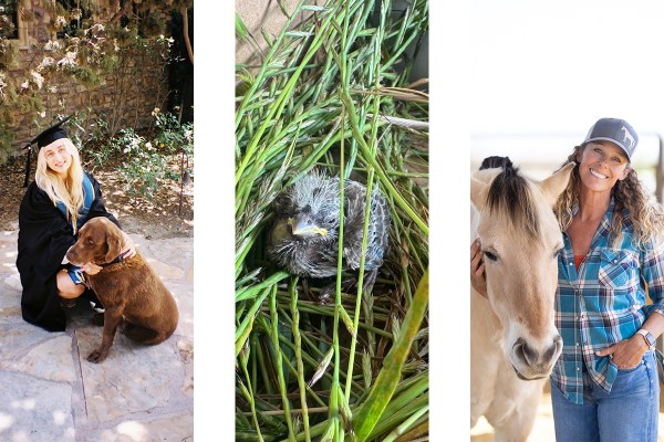 Santa Barbara’s Pets & Animals - The Santa Barbara Independent