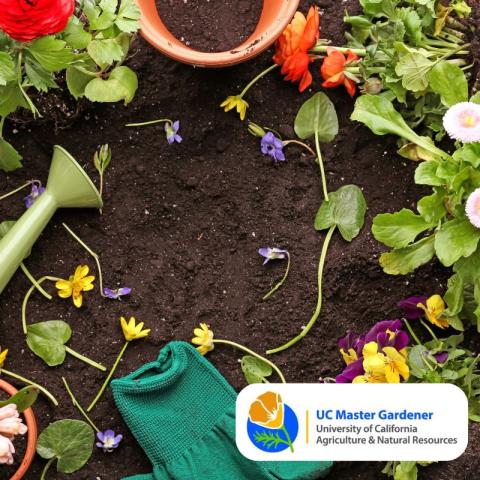 UC Master Gardeners at Montecito Library - The Santa Barbara Independent