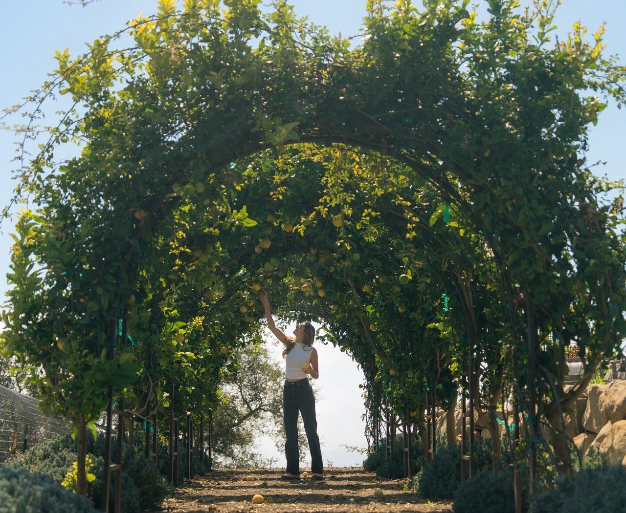Full Belly Files | Tasting Summer at Wanderment Farms - The Santa ...